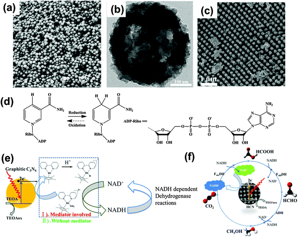 Graphitic carbon nitride “reloaded”: emerging applications beyond ...