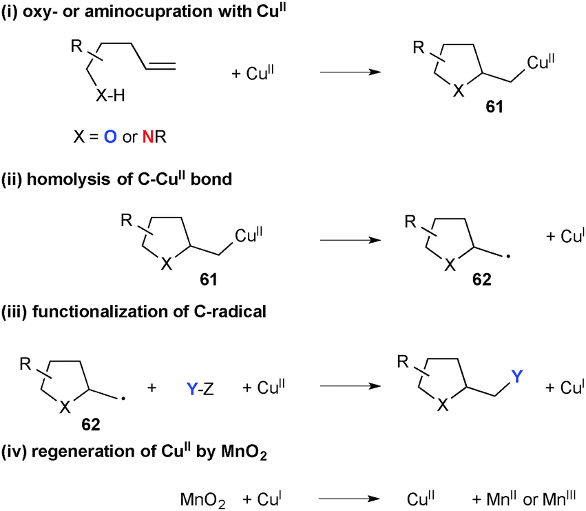 Copper-catalyzed oxidative carbon–heteroatom bond formation: a recent ...