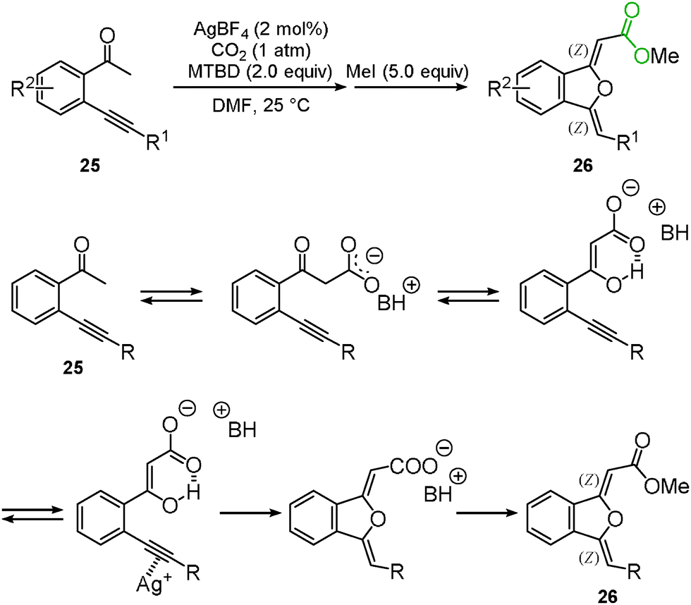 Silver-catalyzed carboxylation - Chemical Society Reviews (RSC ...