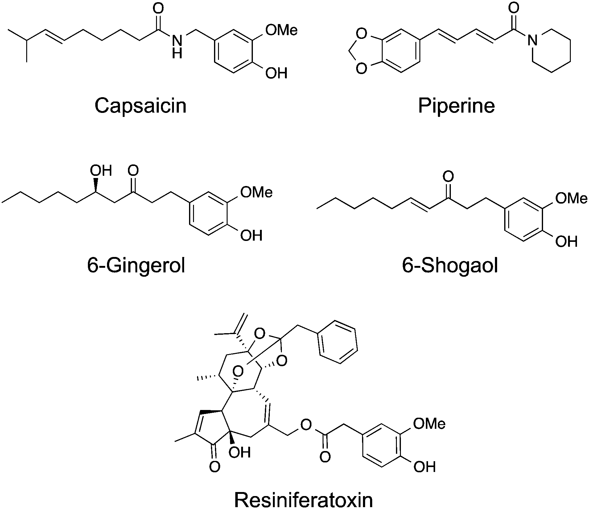 Natural product modulators of transient receptor potential (TRP) channels as potential anti ...