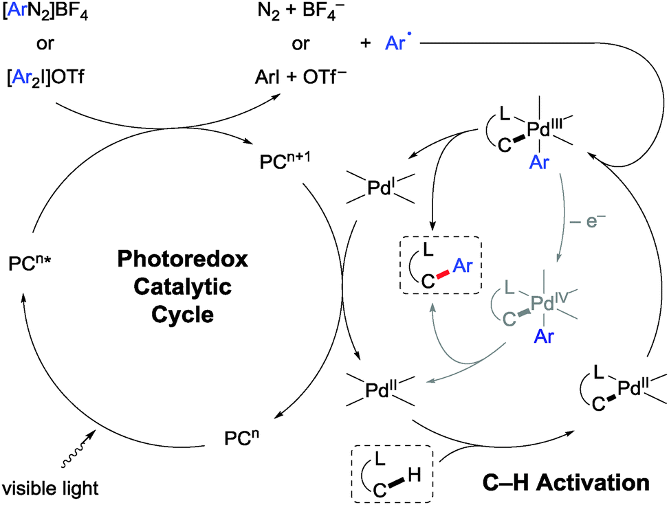 Mild metal-catalyzed C–H activation: examples and concepts - Chemical ...
