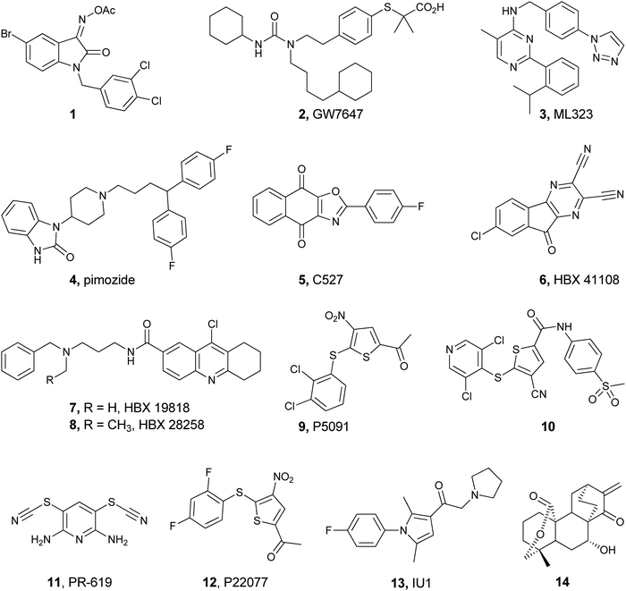 Chemical and semisynthetic approaches to study and target ...