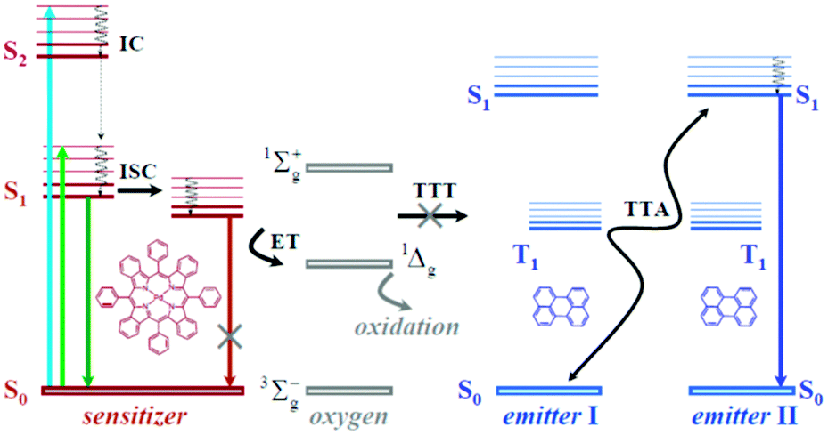 Protection of densely populated excited triplet state ensembles against ...