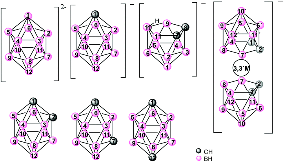 Icosahedral boron clusters: a perfect tool for the enhancement of ...