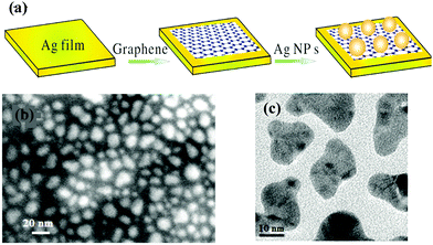 Hybrid nanostructures of metal/two-dimensional nanomaterials for ...
