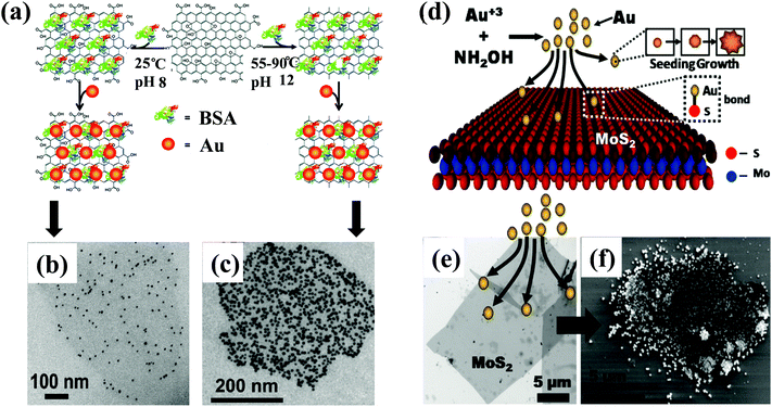 Hybrid nanostructures of metal/two-dimensional nanomaterials for ...