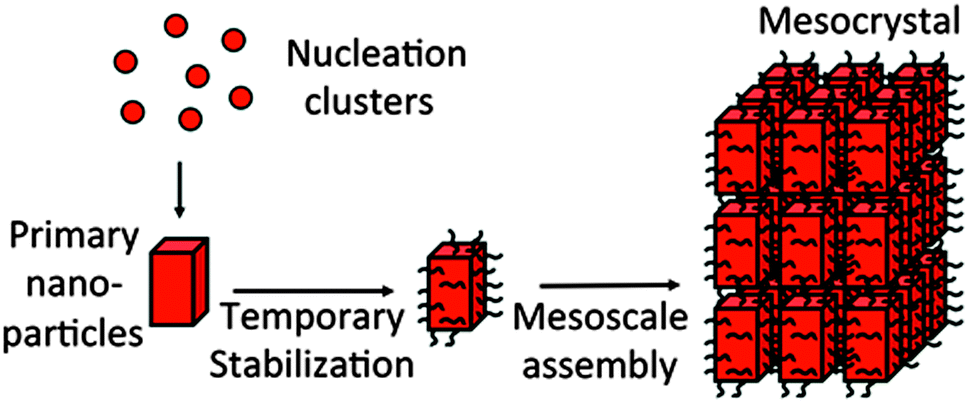 Mesocrystals: structural and morphogenetic aspects - Chemical Society ...
