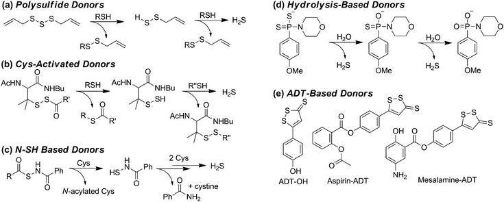 A practical guide to working with H 2 S at the interface of chemistry ...