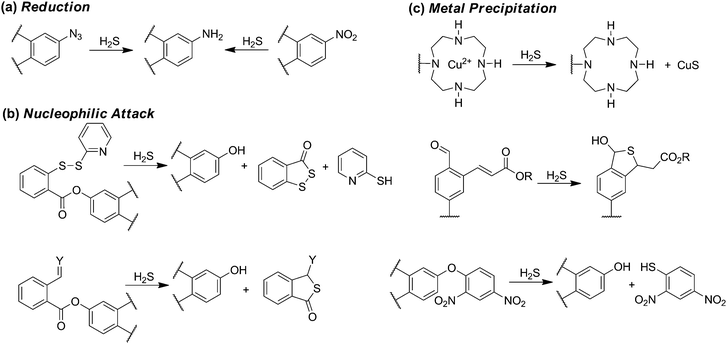 A practical guide to working with H 2 S at the interface of chemistry ...