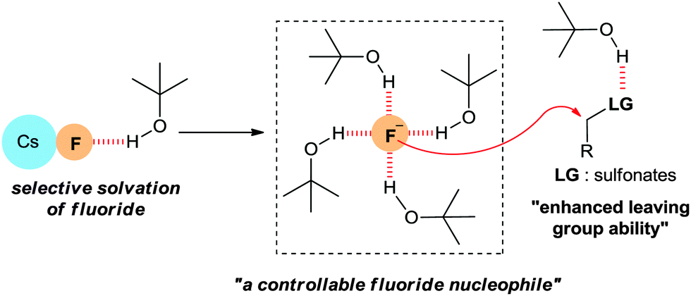 Hydrogen-bond promoted nucleophilic fluorination: concept, mechanism ...