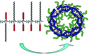 Preparation of polyphosphazenes: a tutorial review - Chemical Society ...