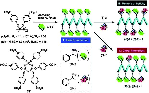 Preparation of polyphosphazenes: a tutorial review - Chemical Society ...