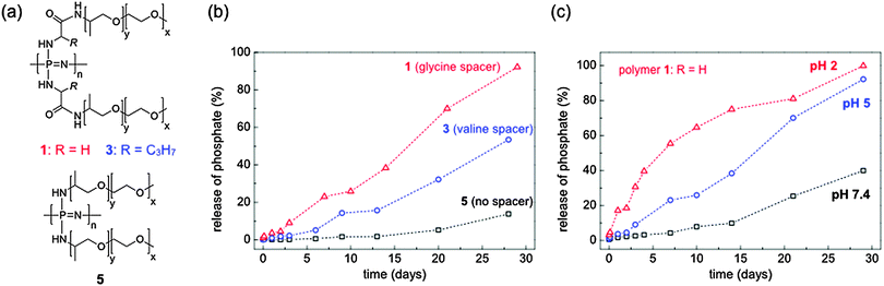 Preparation of polyphosphazenes: a tutorial review - Chemical Society ...