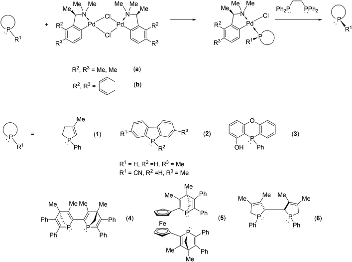 Resolution of P-stereogenic P-heterocycles via the formation of ...