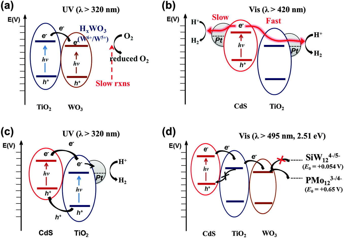 Photoinduced charge transfer processes in solar photocatalysis based on ...