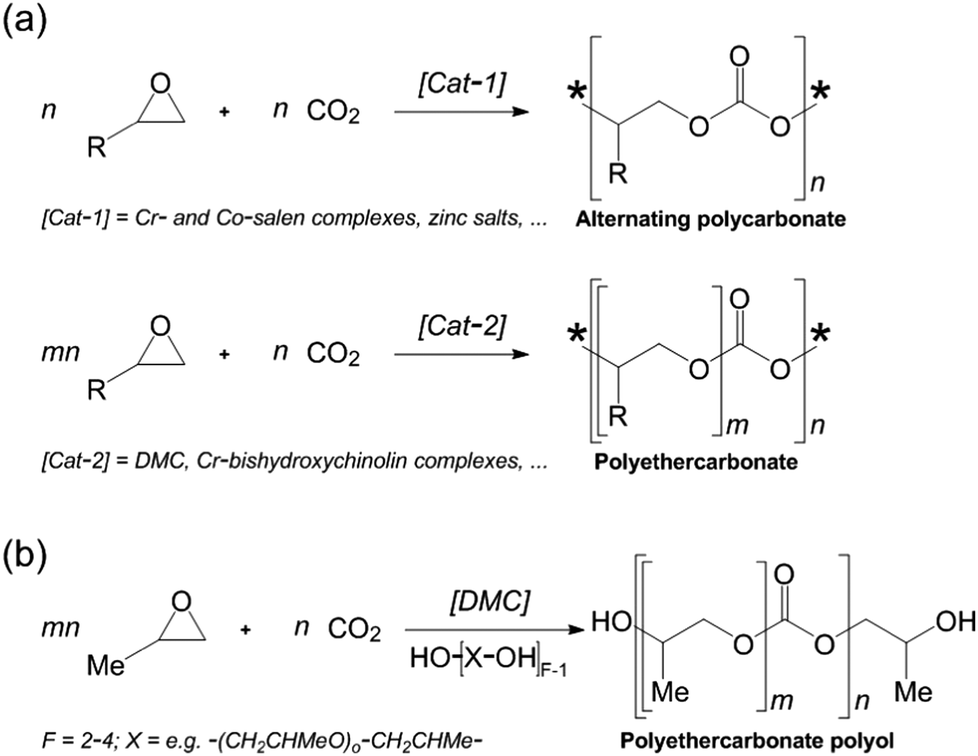 Some of tomorrow's catalysts for processing renewable and non-renewable feedstocks, diminishing ...