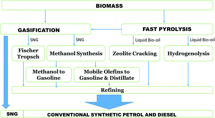 An overview of advances in biomass gasification - Energy ...