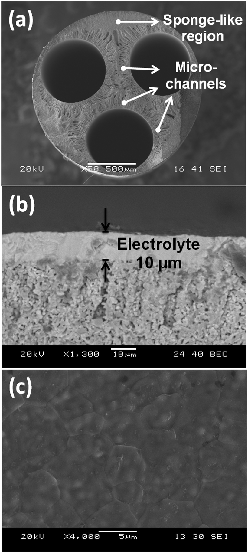A highly-robust solid oxide fuel cell (SOFC): simultaneous greenhouse ...