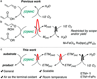 Attractive aerobic access to the α,β-unsaturated acyl azolium ...