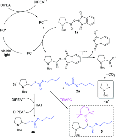 Metal-free, visible-light-mediated, decarboxylative alkylation of ...