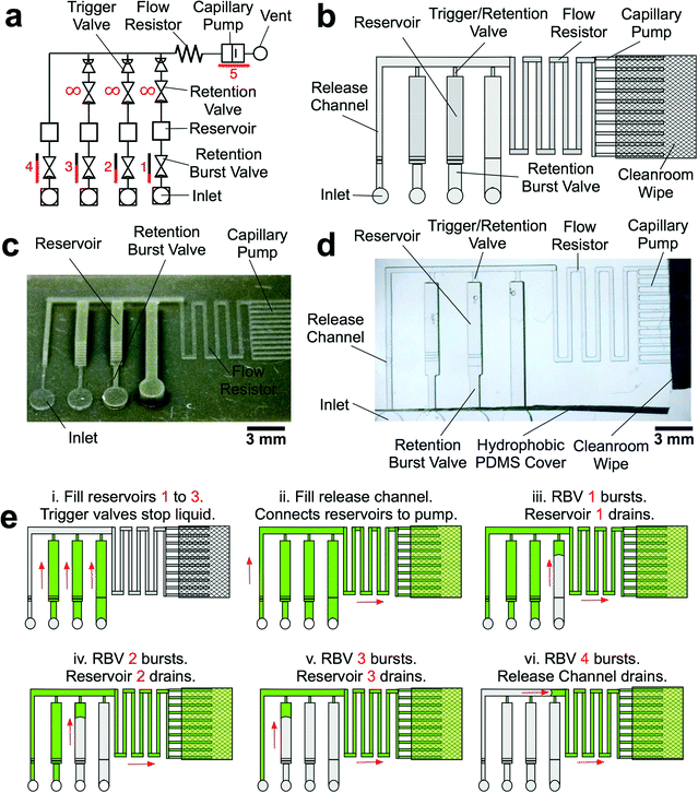 Autonomous microfluidic capillaric circuits replicated from 3D-printed molds - Lab on a Chip ...