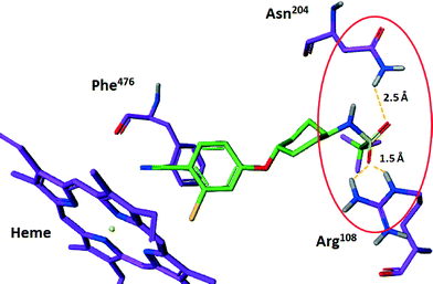 Discovery of a novel binding pocket for CYP 2C9 inhibitors ...