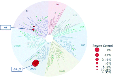 Novel p38α MAP kinase inhibitors identified from yoctoReactor DNA ...