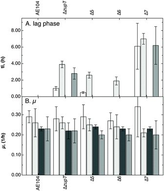 Interplay between seven secondary metal uptake systems is required for ...