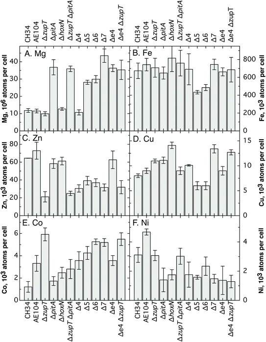 Interplay between seven secondary metal uptake systems is required for ...