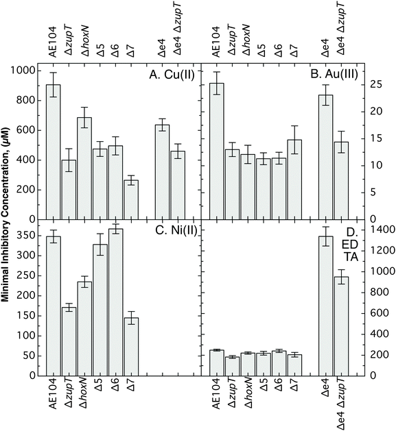 Interplay between seven secondary metal uptake systems is required for ...