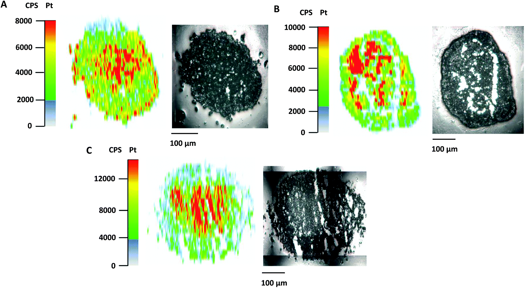 Behavior of platinum( iv ) complexes in models of tumor hypoxia ...
