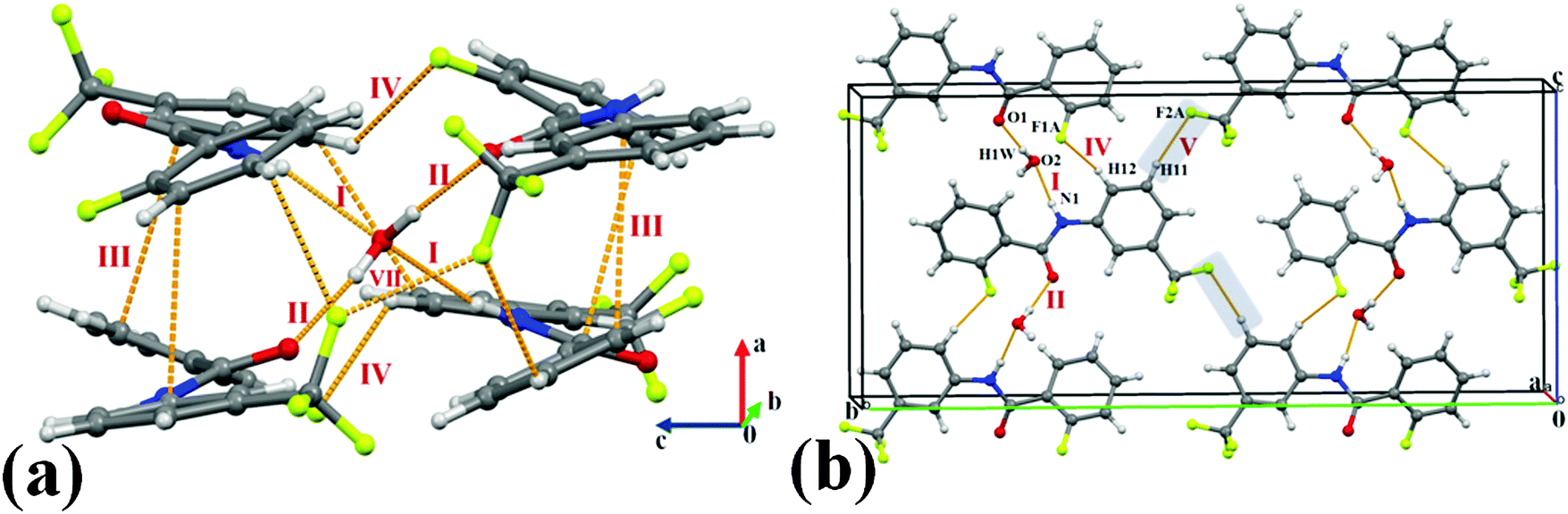 Experimental and computational analysis of supramolecular motifs ...