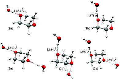 The vibrational spectrum of 1,4-dioxane in aqueous solution – theory ...