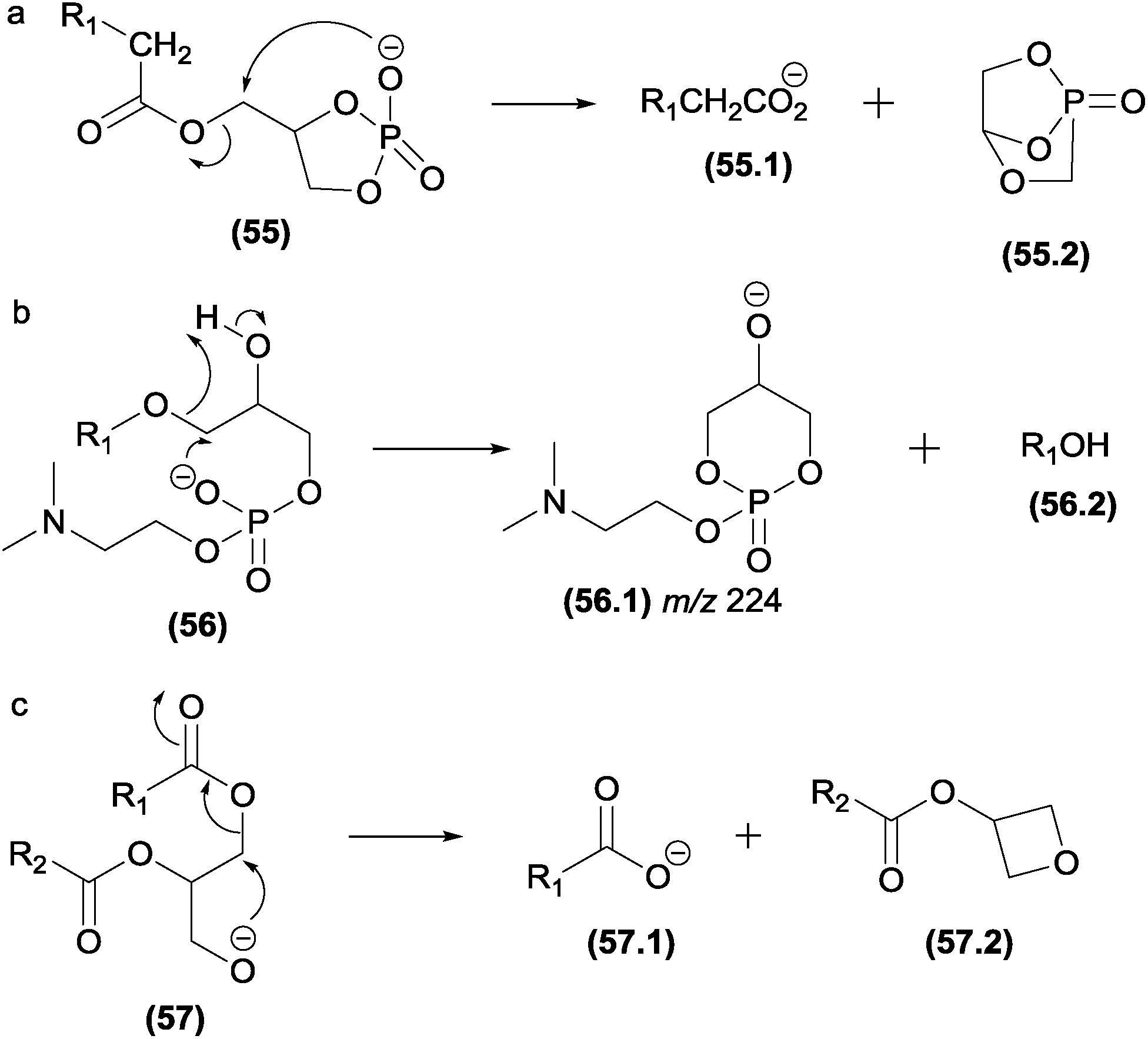Fragmentation reactions using electrospray ionization mass spectrometry ...