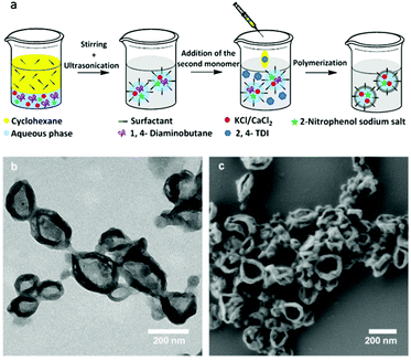 Osmotic pressure-dependent release profiles of payloads from ...