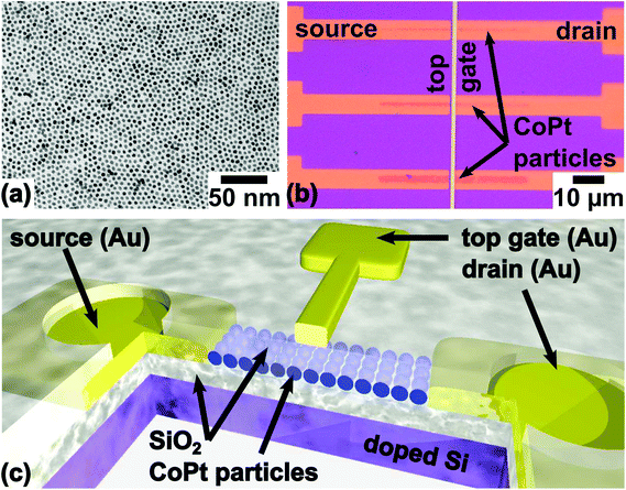 Coulomb blockade based field-effect transistors exploiting stripe ...