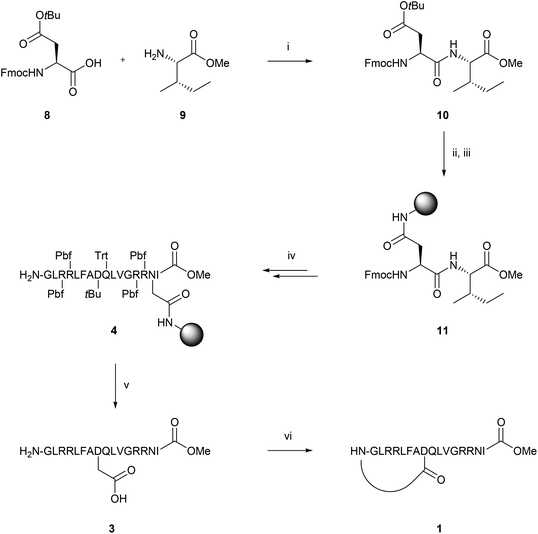 Total chemical synthesis of lassomycin and lassomycin-amide - Organic ...