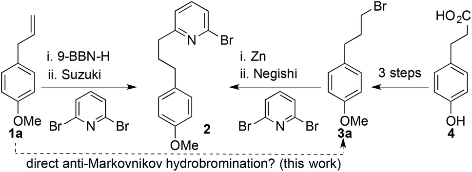 Scalable anti-Markovnikov hydrobromination of aliphatic and aromatic olefins - Organic ...