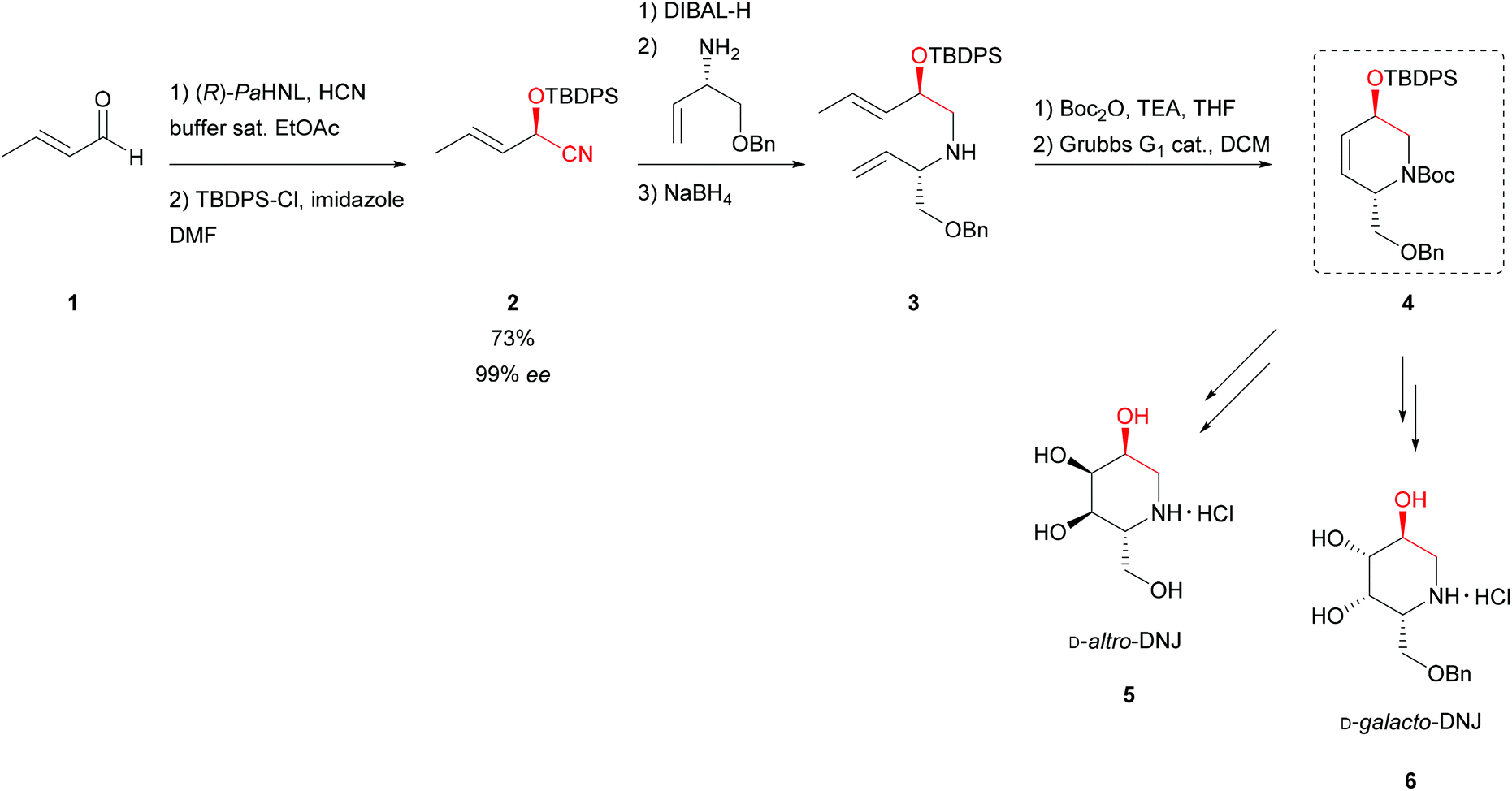Enantioselective synthesis of cyanohydrins catalysed by hydroxynitrile ...