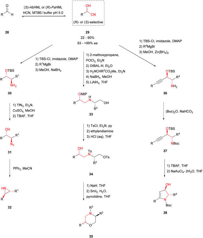 Enantioselective synthesis of cyanohydrins catalysed by hydroxynitrile ...