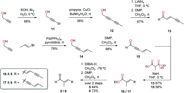 Ravynic acid, an antibiotic polyeneyne tetramic acid from Penicillium ...