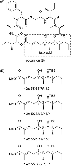 Total synthesis of odoamide, a novel cyclic depsipeptide, from an ...