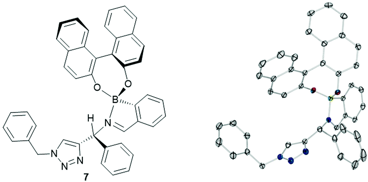 The Bull–James assembly as a chiral auxiliary and shift reagent in ...