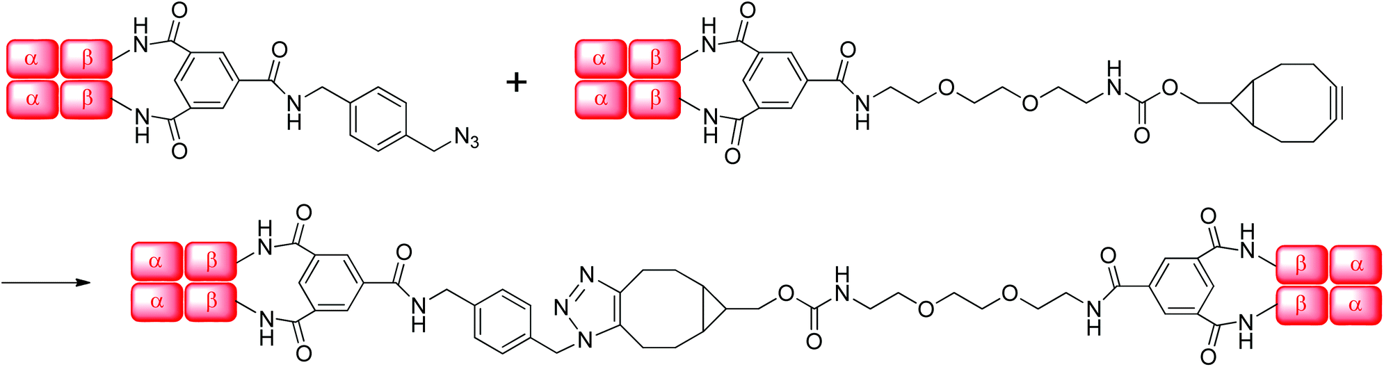 Strain-promoted azide–alkyne cycloaddition for protein–protein coupling ...