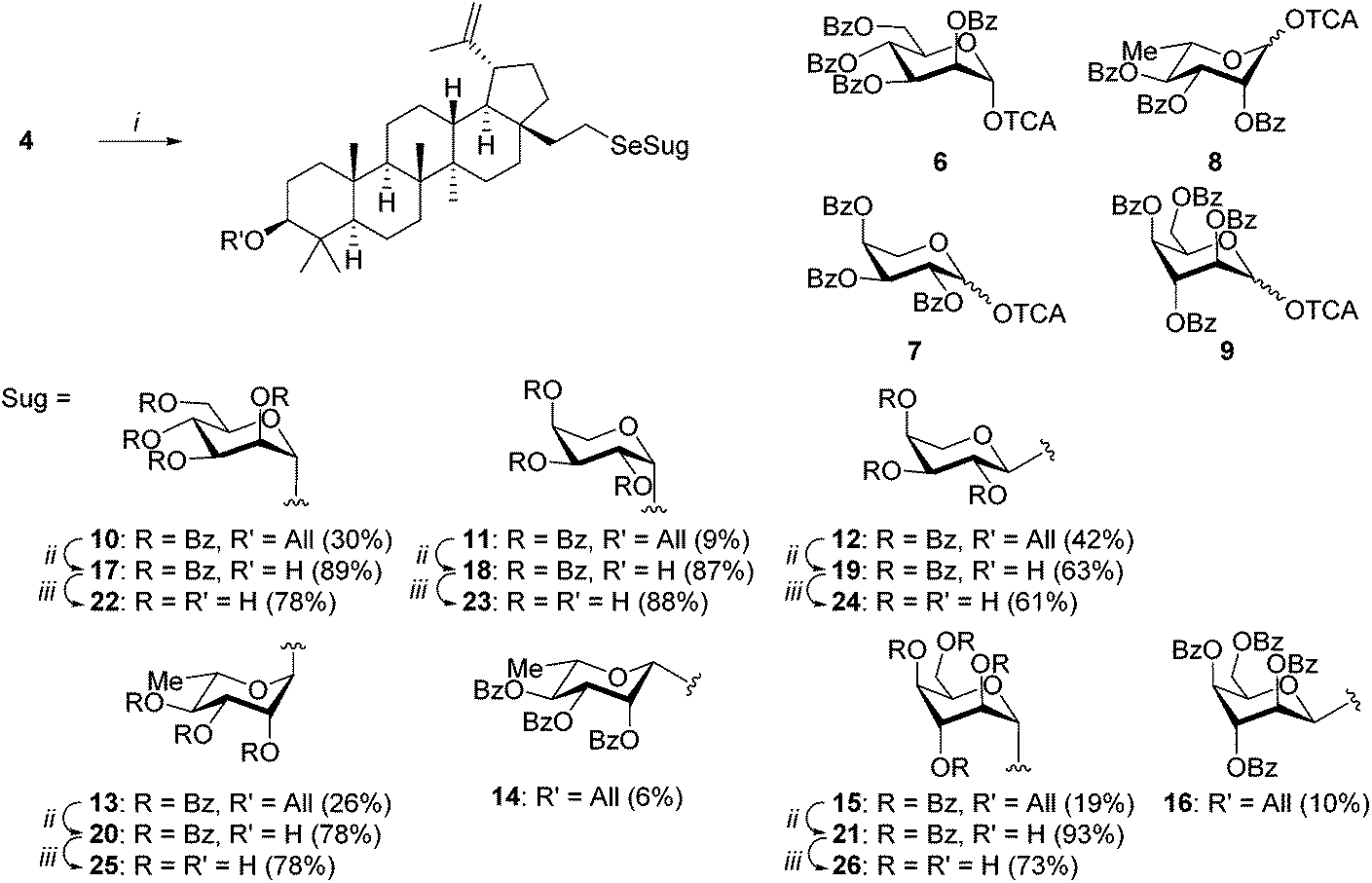 Synthesis of 28a-homoselenolupanes and 28a-homoselenolupane saponins ...