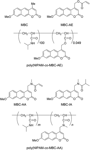 A fluorescent acrylamide-type monomer bearing an environment-sensitive ...