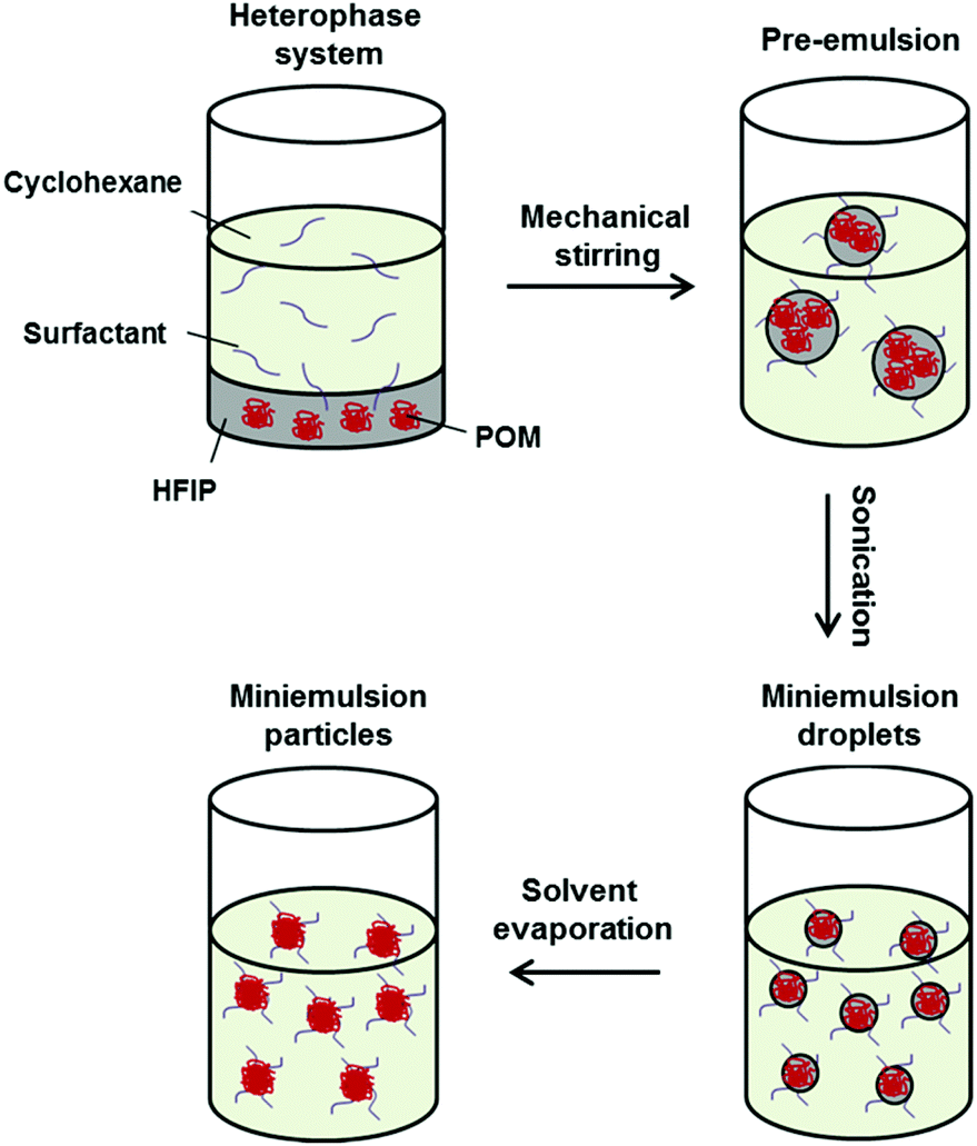 Processing and adjusting the hydrophilicity of poly(oxymethylene) (co ...