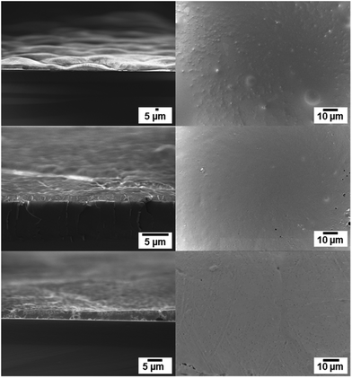 Processing and adjusting the hydrophilicity of poly(oxymethylene) (co ...