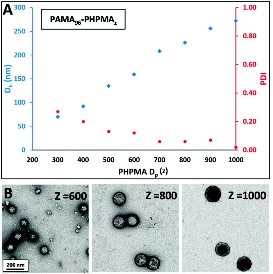 Cationic and reactive primary amine-stabilised nanoparticles via RAFT ...