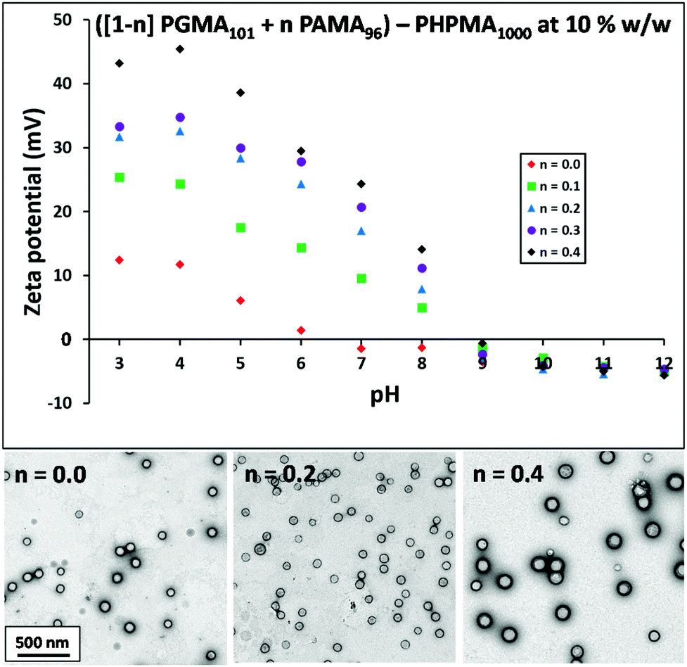 Cationic and reactive primary amine-stabilised nanoparticles via RAFT ...